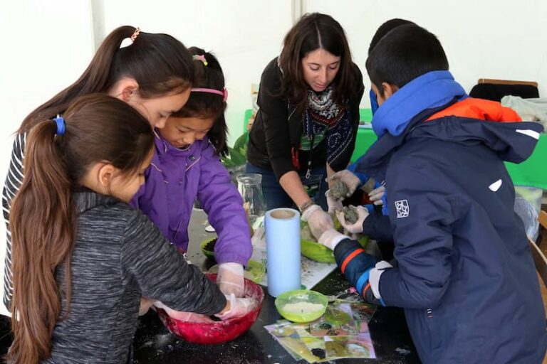 SEED BOMB - ABConservation